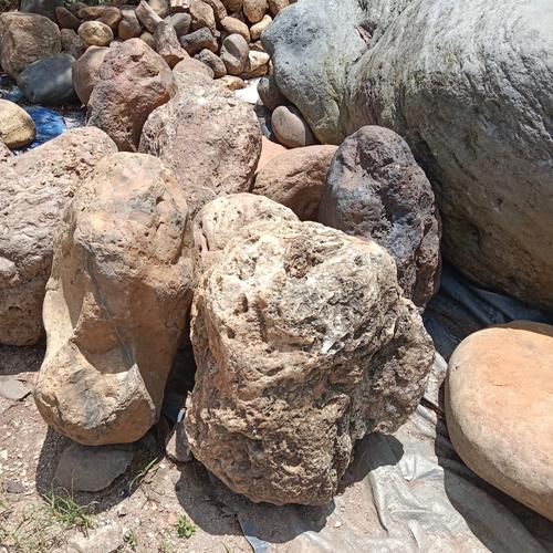 Jual Batu Fosil Coklat | Batu Taman Estetik | Batu Taman Fosil || Batu ...