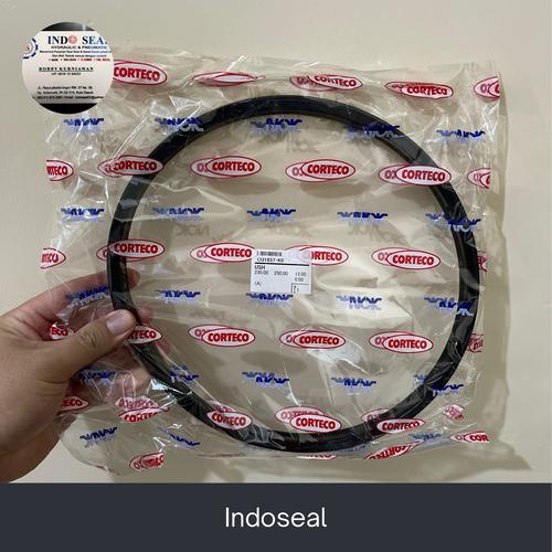 Jual OIL SEAL USH 230 x 250 x 12 NOK . SIL CORTECO 230 250 12 - Jakarta ...