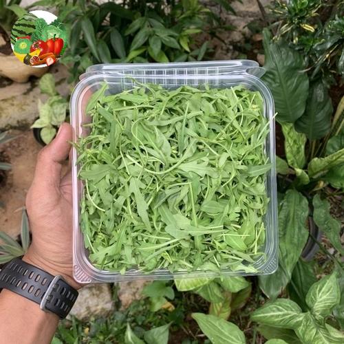 Jual Aragula / daun aragula / aragula rocket / aragula organik ...