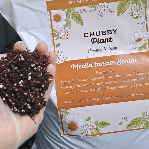 Jual chubby plant media tanam semai benih tanaman premium black soil ...