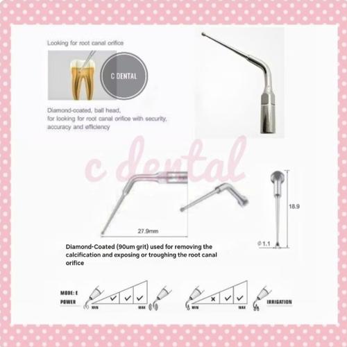 Jual Endo Tip Scaler Long Neck Shank Exposing Orifice Root Canal - EMS ...