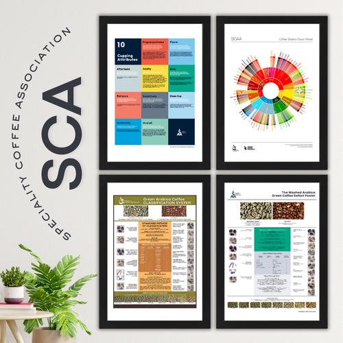 Promo Dekorasi Full Set Poster SCA – Coffee Flavor Wheel, Cupping ...