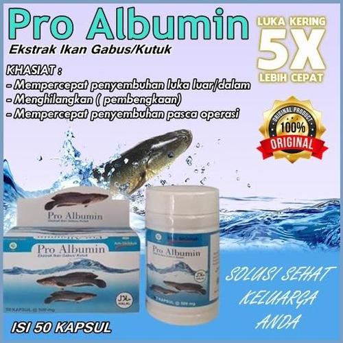 Jual READY Kapsul Ikan Gabus Terbaik Obat Luka Pasca Operasi Cepat Sembuh Kering termurah - SARI ...