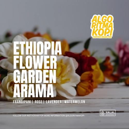 Jual Ethiopia Flower Garden Arama | Biji Kopi Arabika | Filter Coffee ...