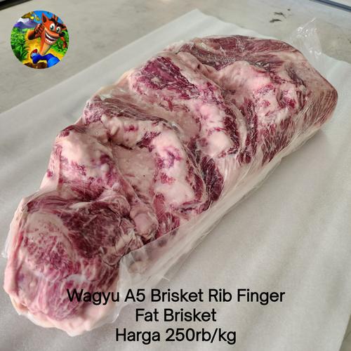 Jual Wagyu Beef A5 Japan Brisket Rib Finger / Brisket Fat / Tetelan ...