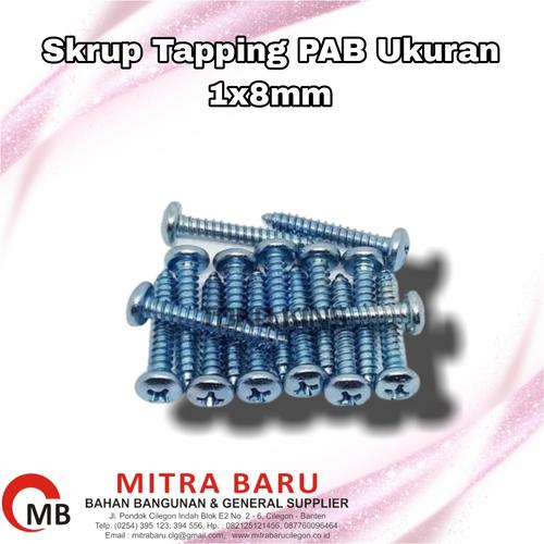Jual Skrup Tapping PAB Ukuran 8x1 / Baut ukuran 8x1 - Bungkus - Kota ...