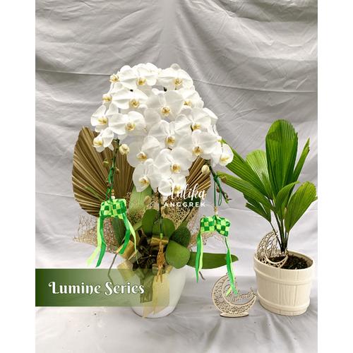 Jual [Antika Anggrek] Hampers Lebaran Rangkaian Anggrek Bulan Super ...