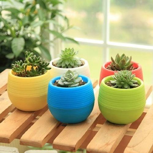 Jual Pot Mini Tanaman Bunga Hias 1 pcs cantik menggemaskan - Kota ...