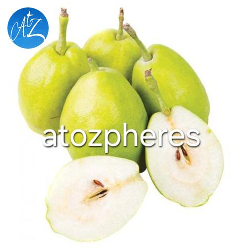 Jual Buah pir XiangLie XiangLi Xiang Li Lie RRC fresh pear kemasan 1kg ...