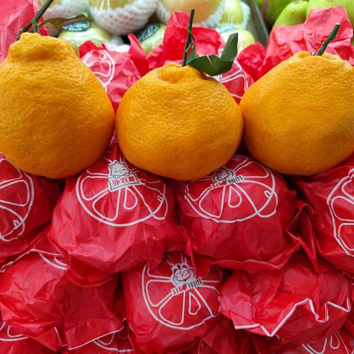 Jual Jeruk dekopon | jeruk sumo | jeruk kupas - 1kg - 1 kg - Jakarta ...