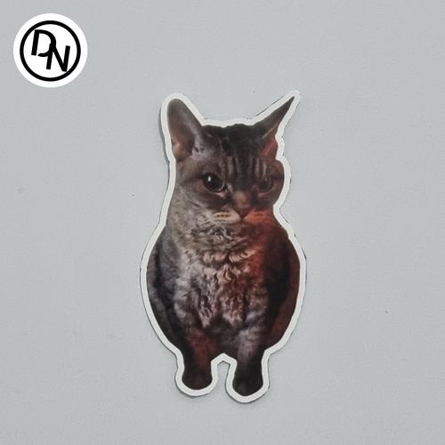 Jual stiker lucu kucing marah meme - Kab. Tangerang - Michiel | Tokopedia