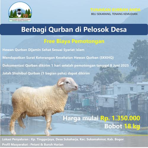 Jual Qurban Kambing Domba - Hewan Kurban Murah - Domba 30 kg - Kota ...