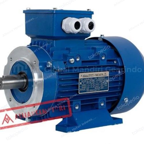 Jual Alliance Motori Elektro Motor | Dinamo A-Y3A 3 Phase B34 - 0.75 HP ...