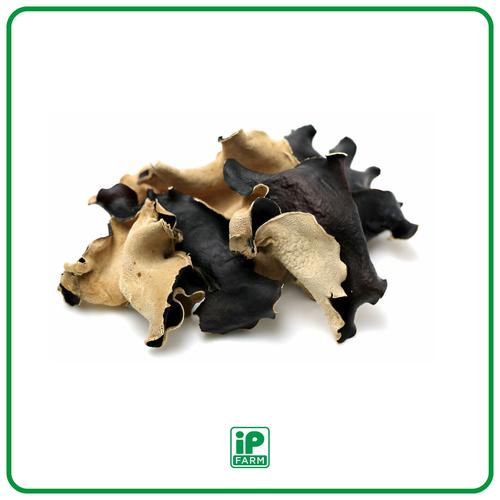 Jual Dried Wood Ear / Jamur Kuping Kering 50 gr - Jakarta Selatan - IP ...