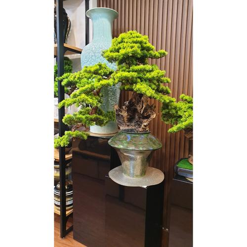 Jual Bonsai Jepang Besar Tanaman Hias / Artificial Decor Tree 2384 ...