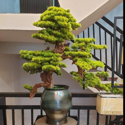 Jual Bonsai Jepang Besar Tanaman Hias / Artificial Decor Tree 2384/4-5 ...