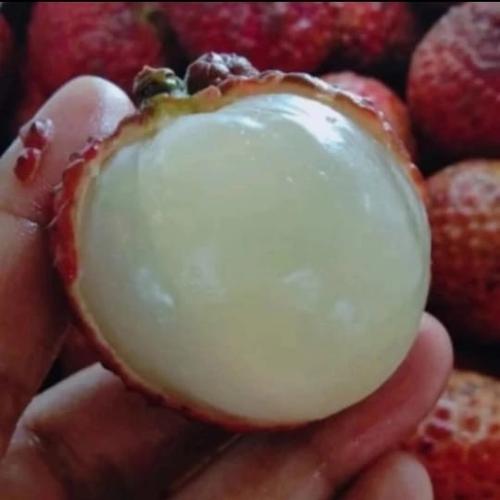 Jual Buah Leci Segar/Lychee Import 1 Pack - Jakarta Barat - alifa smart ...