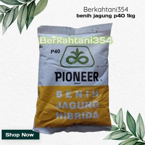 Jual Benih jagung p40 1kg Bibit jagung pioner p 40 original Benih ...