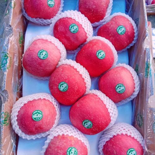 Jual Apel fuji | apel garing | apel premium | apel wangshan - 1kg - 1 ...