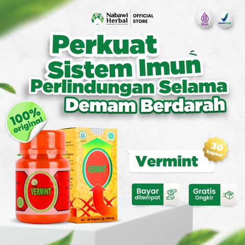 Jual Vermint obat typus | Obat Penyakit Typus | Sakit Tifes - 12 pcs ...