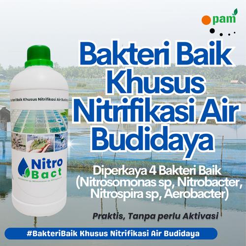 Promo Nitrobact - Probiotik Khusus Nitrifikasi Kolam Ikan dan Udang ...