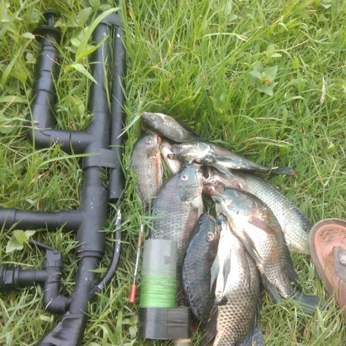 Promo Pancing Paralon SP3 Full Set Lengkap Pendorong, Paku Modifikasi ...