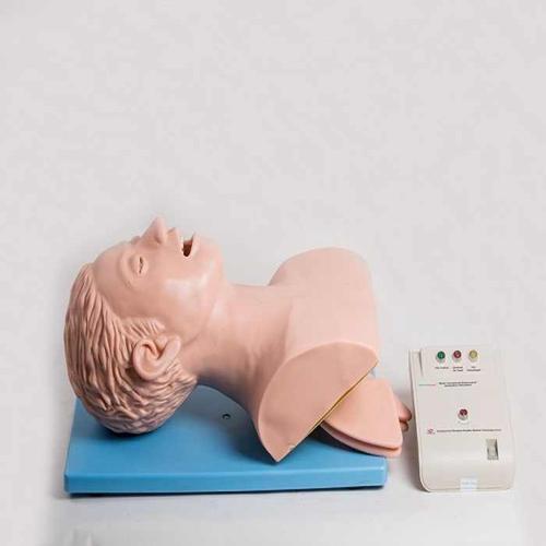 Jual Manikin Airway / Phantom Manikin Airway / Manekin Airway / General ...