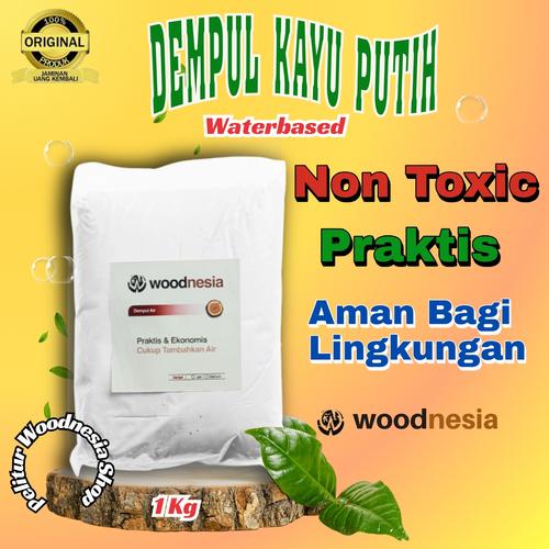 Promo Dempul PUTIH Woodnesia Dempul Kayu Woodfiller Waterbased Pakai ...