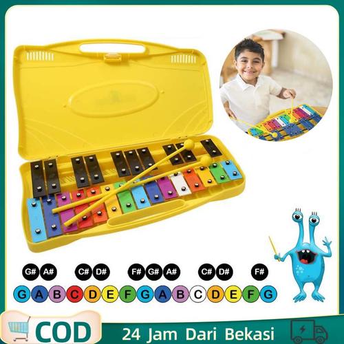 Jual Xylophone Hadir Dalam Kotaknya Sendiri Xylophone Mainan Anak ...
