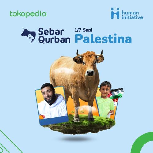 Jual Sebar Qurban 1/7 Sapi untuk Palestina FROZEN (DAGING KALENG ...