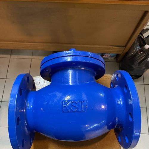 Jual swing check valve 6 inch jis 10k cast iron - Jakarta Barat ...