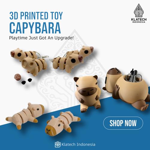 Jual Capybara Kapibara Mainan || 3D Printed Toy - CAPYBARA 1 - Kota ...