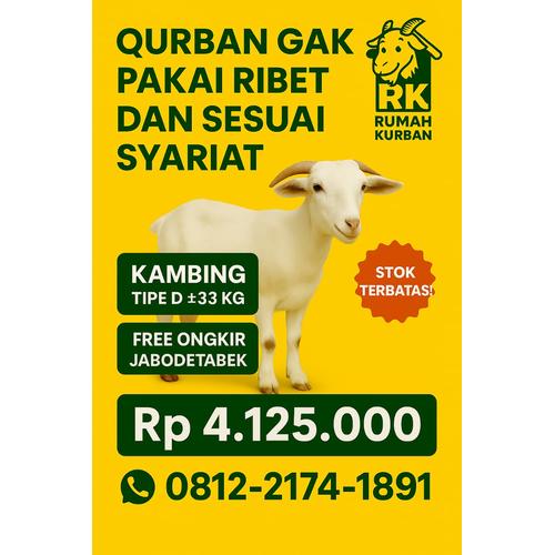 Jual Kambing Qurban bobot 33 KG Termurah di Jakarta dan Bekasi ...