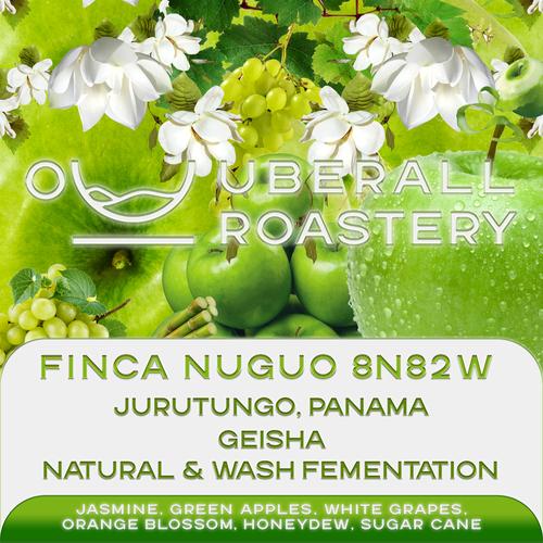 Jual Kopi Arabika Finca Nuguo Geisha 8N82W Natural & Wash Fermentation ...