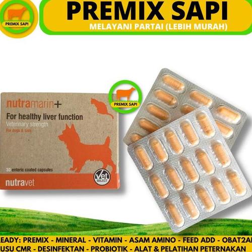 Jual NUTRAMARIN PLUS 1 KAPSUL Obat Gangguan Liver Hati Kucing & Anjing ...
