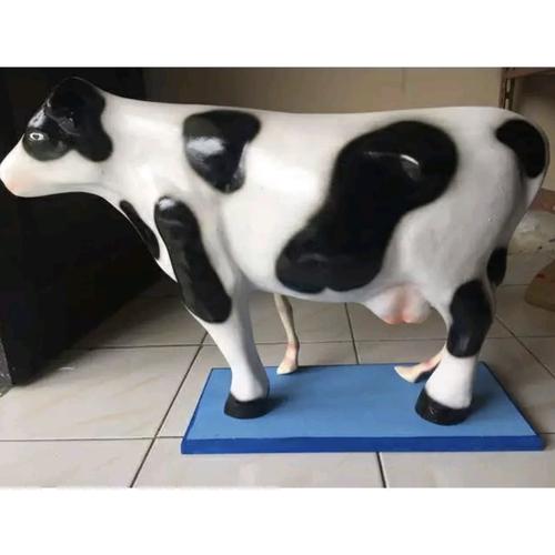 Jual Model torso sapi ,Alat peraga pendidikan /Torso Sapi - Kota Medan ...