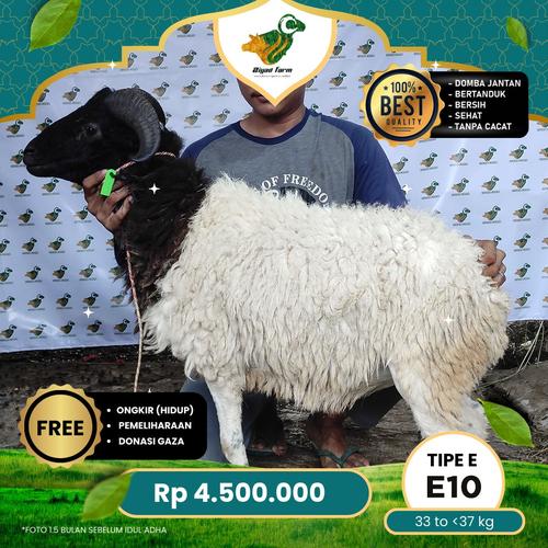 Jual Kambing Qurban, Domba Garut&peranakan, 34 sd 40 kg - Domba E79 ...