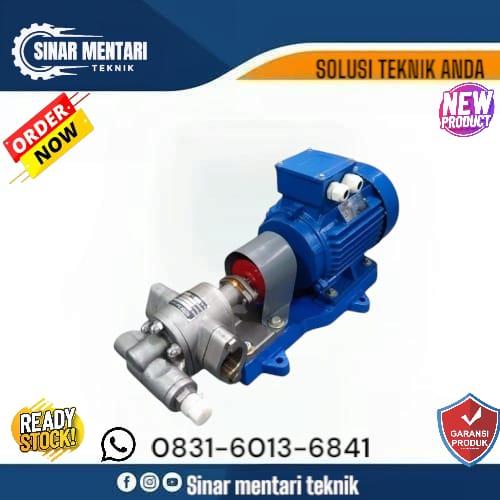 Jual Gear Pump Rotor RK-55 Pompa Cairan Kental Stainless Stell SS 304 ...