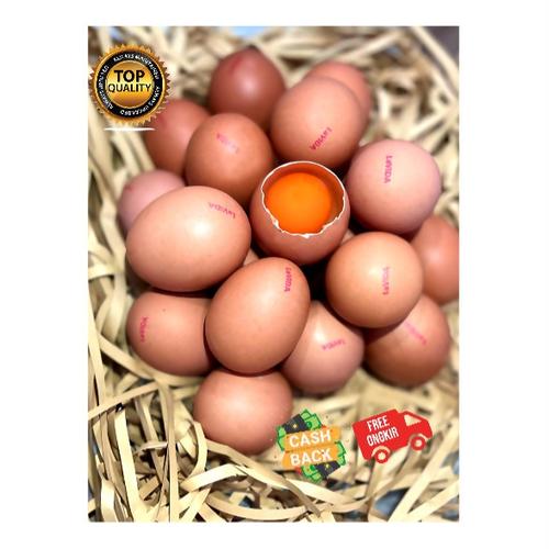 Jual Telur omega 3 1 tray (30 BUTIR UKURAN BESAR) - Jakarta Timur ...