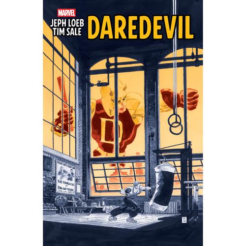 Jual Jeph Loeb & Tim Sale Daredevil TP | Marvel Comics | 9781302962012 ...