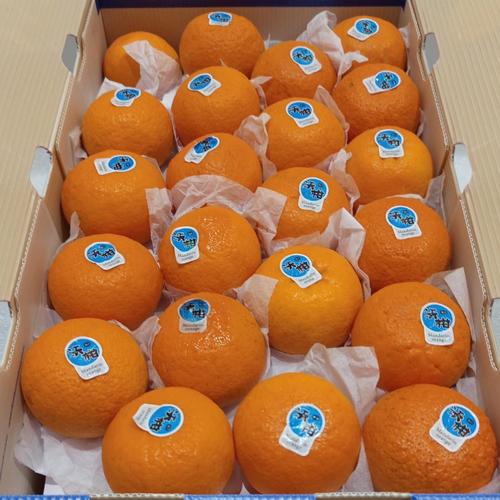 Jual Jeruk wokam | jeruk wogan | jeruk murkot | jeruk ponkam - 1 kg ...