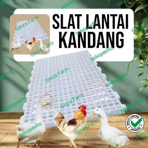 Jual SLAT LANTAI /ALAS KANDANG AYAM/PETERNAKAN/ PLASTIK (NO KAKI). - Kab. Tangerang - Ginza Farm ...