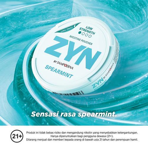 Jual Satuan SHIRO MINI BY SAMPOERNA 2mg Nicotine Pouch - Zyn Spearmint ...