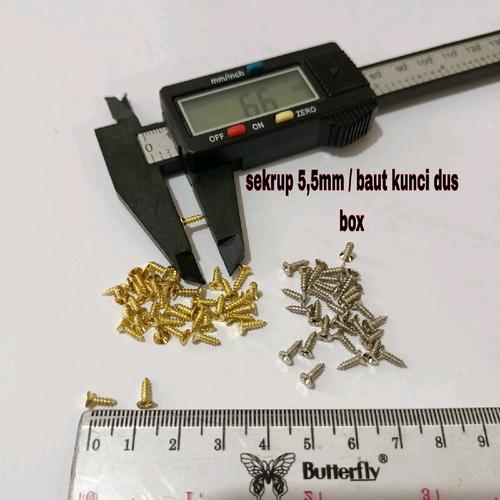 Jual baut mini 5,5mm / sekrup engsel 5,5mm / sekrup pengait kunci dus ...