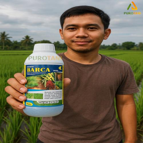 Jual Pembasmi Gulma Rumput Herbisida Barca 150SL Pembasmi Rumput ...