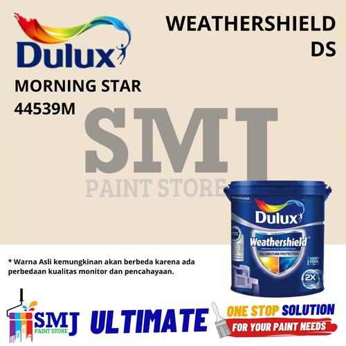Jual Cat Tembok Eksterior DULUX WEATHERSHIELD warna TINTING Morning ...