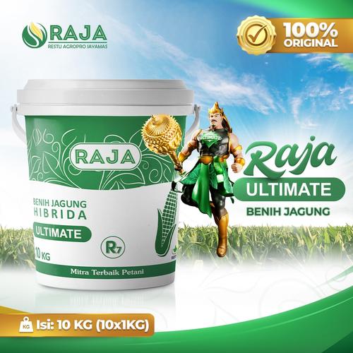 Jual Benih Jagung Hibrida RAJA R7 Ultimate - 10kg Kemasan Pail/Ember ...