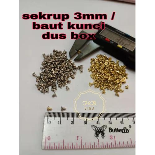 Jual Sekrup pengait kunci box / sekrup 3mm / baut mini 3mm - Silver ...