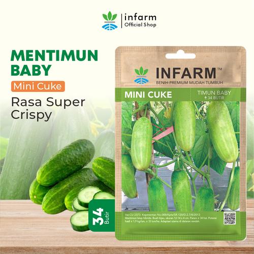 Jual Benih Bibit Timun Mini Cuke Infarm - Tahan Virus, Renyah, dan ...