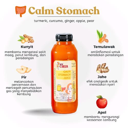 Jual Calm Stomach Healing Juice 1 Liter Jus Gut Healer Series dengan untuk Pencernaan Gerd Maag ...